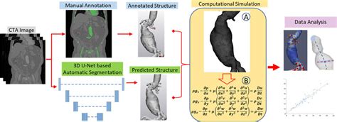 A Schematic Overview Of Cacu Net Architecture The Algorithm Consists
