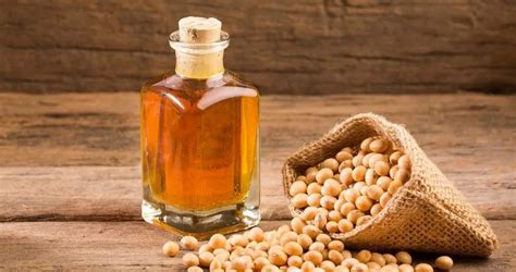 Soybean Lecithin Oil Liquid At Rs 130 Kg In Gautam Budh Nagar Id 26122646655