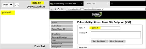 5 real world cross site scripting examples