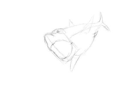 How To Draw Megalodon With Pencil Step By Step Drawing Tutorial