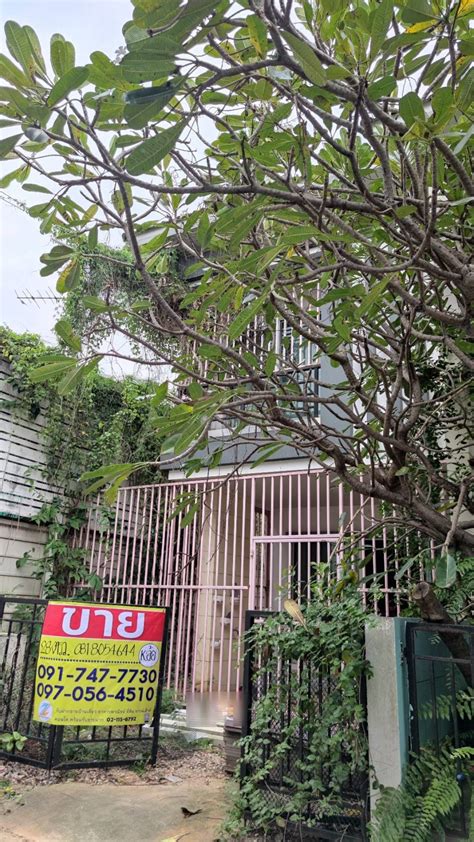 ขาย ทาวเฮ้าส์2ชั้น 28 6 ตร วา ทำเลดี ม บ้านดี แลนด์ ถ เอกชัย อ เมือง