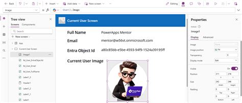 What Is Powerapps User Function And Whats The Purpose Of It With