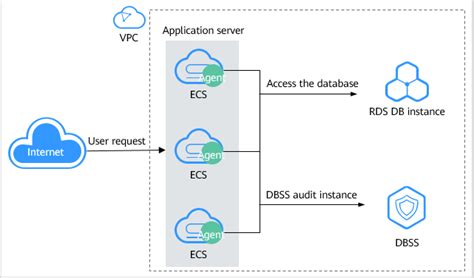 auditing an rds db instance with agents database security service