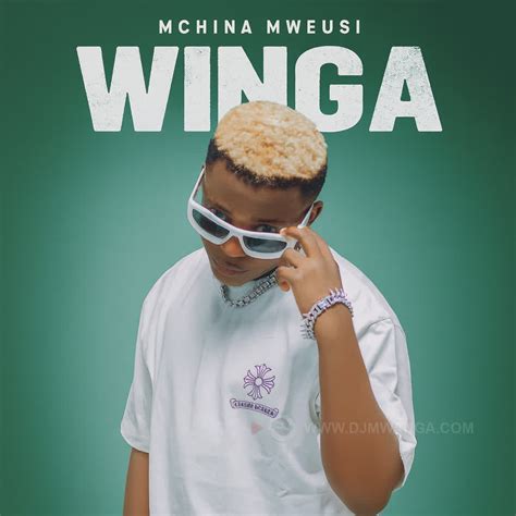 Audio Mchina Mweusi Winga Download Dj Mwanga