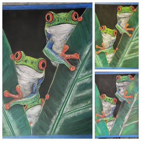 Original Tree Frog Pastel Drawing Etsy Original Tree Frog Pastel Drawing Etsy