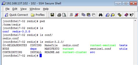 redis配置主从架构，实现读写分离 redis 主从读取 csdn博客