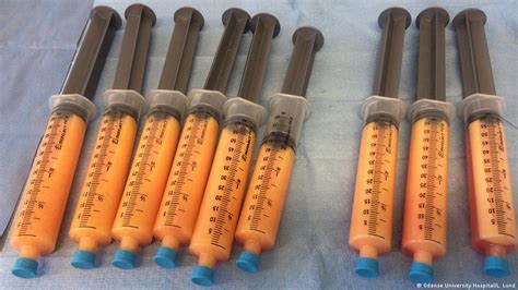 Using Stem Cells To Treat Erectile Dysfunction Science In Depth Reporting On Science And