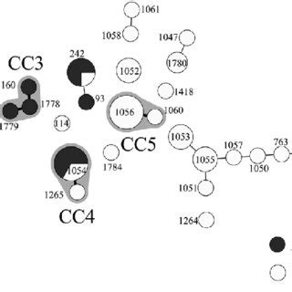 Minimum Spanning Tree MSTree Of 50 L Pneumophila STs With Seven