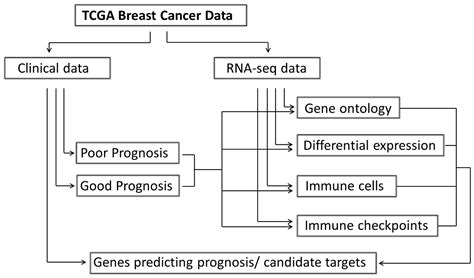 Mining Tcga Database For Genes With Prognostic Value In Breast Cancer