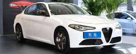 一个十字架一条蛇是什么车 有驾