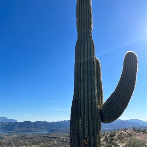 Because Smerconish Is A Shill For Republicans He Pushed The Laptop And Pushed Rfk When The