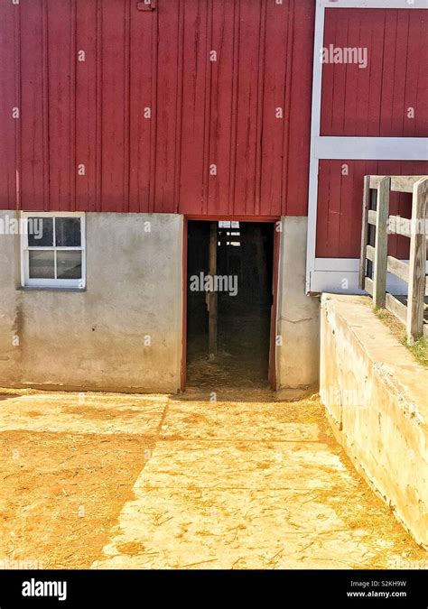 The Barn Door Is Open Meaning At Joan Leet Blog