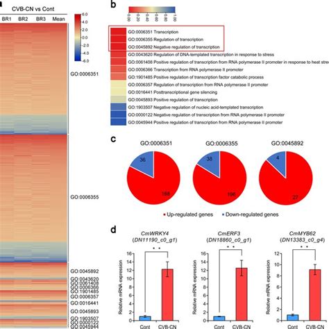 Analysis Of The Transcription And Transcription Regulation Related Download Scientific Diagram