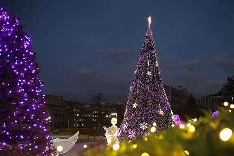 모두에 희망 주는 빛 되기를” 목원대 대형 크리스마스트리 올해 첫 점등