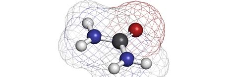 Helicobacter Pylori Urea Breath Test Beyond Health Medical And Diagnostic