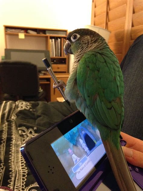 Ari Jaiden Animations Wiki Fandom Powered By Wikia