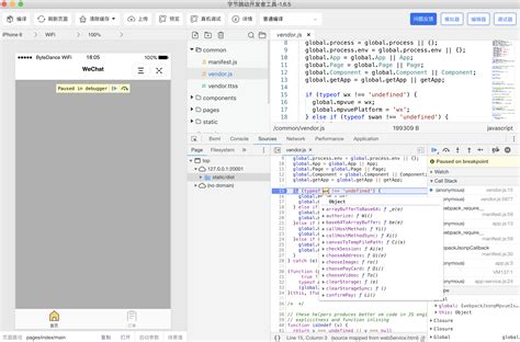 通过 mpvuePlatform 判断平台时头条平台中的 wx 为什么不是 undefined Issue Meituan Dianping mpvue GitHub