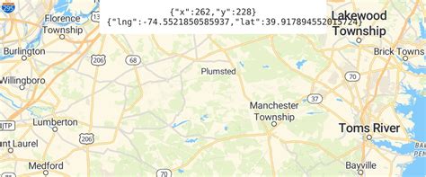 Overview Maplibre Gl Js