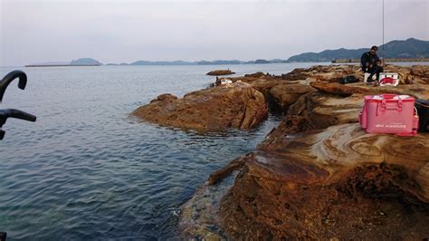 おながの磯（船）釣りブログ