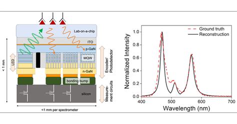Miniaturizing A Chip Scale Spectrometer Using Local Strain Engineering