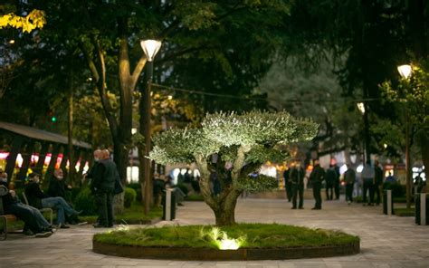 ბუკიას ბაღის რეაბილიტაცია დასრულდა