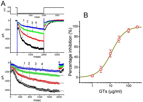 Molecules Free Full Text Evidence For Effective Inhibitory Actions On Hyperpolarization