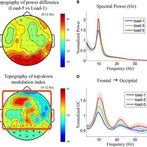 Granger Causality Analysis At The Source Level For Experiment 1 A Download Scientific
