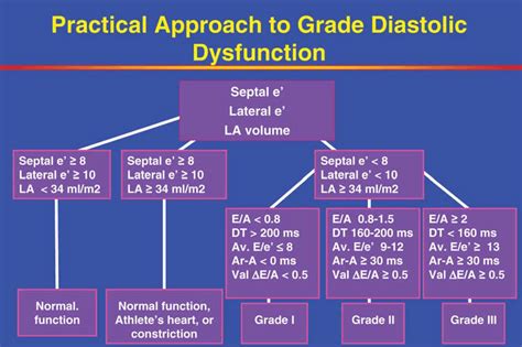 What Is Stage 3 Diastolic Dysfunction Shannon Lansberrys English Worksheets