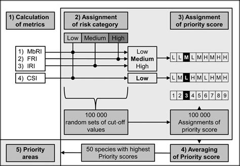 Prioritization Workflow In Five Steps Calculation Of Four Metrics Download Scientific