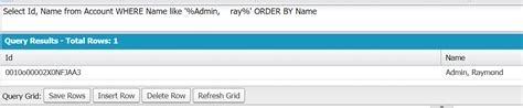 Developer Console Soql With Like Is Not Returning Data Records