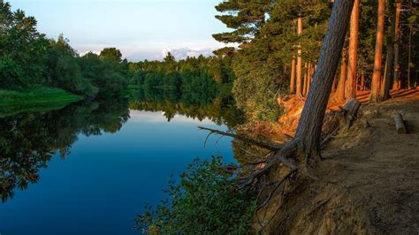 Calm Forest Wallpapers Top Free Calm Forest Backgrounds Wallpaperaccess