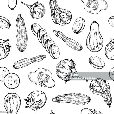 손으로 그린 잉크 벡터 호박 조롱박 스쿼시 전체 및 조각 추수감사절 수확 농사를 위한 스케치 일러스트레이션 아트 원활한 패턴