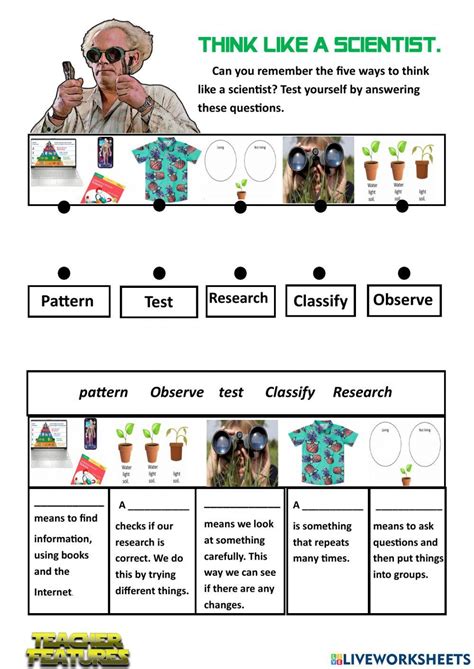 Think Like A Scientist Interactive Worksheet Live Worksheets Worksheets Library