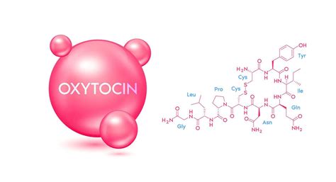 Oxytocin Model Red And Structural Chemical Formula Symbol 3d Icon Isolated On White Background