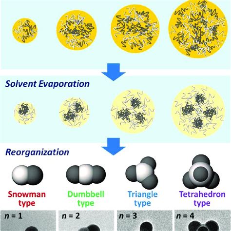 Schematic Illustration For The Fabrication Of Soft Patchy Particles Of Download Scientific