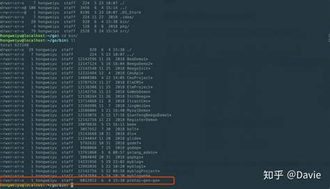 go语言微服务架构实战：第六节 protobuf协议go语言实践 proto unmarshal csdn博客