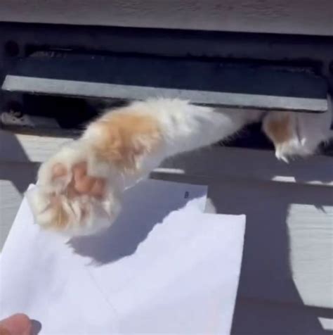 빨리 주세요편지를 잡아당기는 성질 급한 고객님의 정체는 오토카뉴스