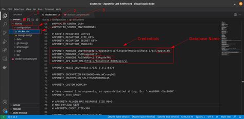 Github Felix Appsmithhow To Connect To The Internal Mongo Database