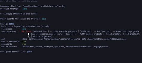 LSP Issue With Jdtls Issue LunarVim LunarVim GitHub