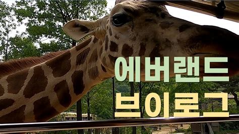 8개월 아기와 에버랜드 브이로그 Youtube