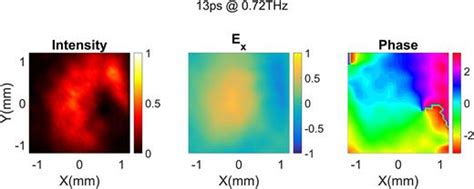 Terahertz Orbital Angular Momentum Modes With Flexible Twisted Hollow Core Antiresonant Fiber