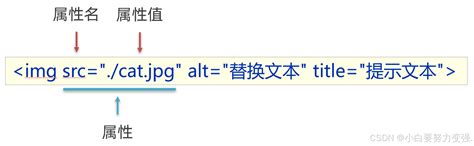 [ html5 css3 ] html基础 入门详细教程 html5 css3网页设计基础教程 csdn博客