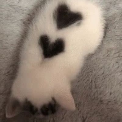 입술 좋아 on Twitter 선지급했습미당