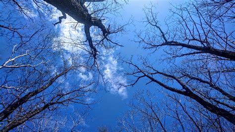 하늘 파란색 구름 Pixabay의 무료 사진