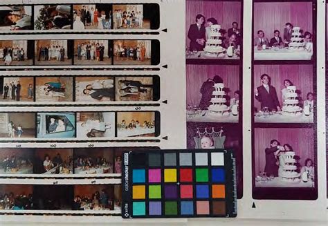 Contact Sheets Showing A Different Degree Of Deterioration Download Scientific Diagram