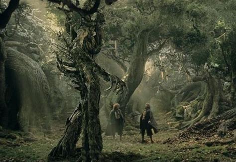 Treebeard Character Profile