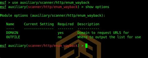 Information Gathering With Metasploit Wayback Machine