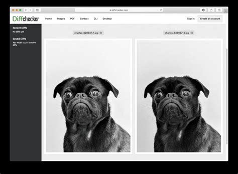 11 Best File Comparison Software