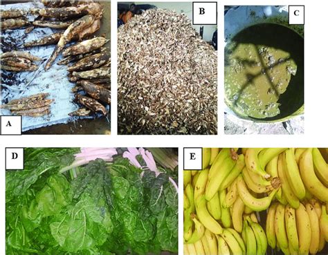A Unpeeled Cassava Tuber B Cassava Peel C Cattle Dung D Download Scientific Diagram
