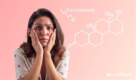 Low Testosterone In Women Symptoms Causes And How To Treat It Welltech